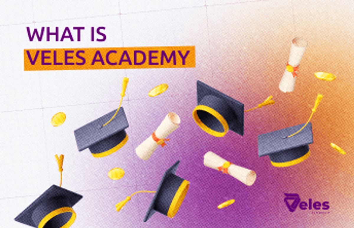 All about Veles Academy