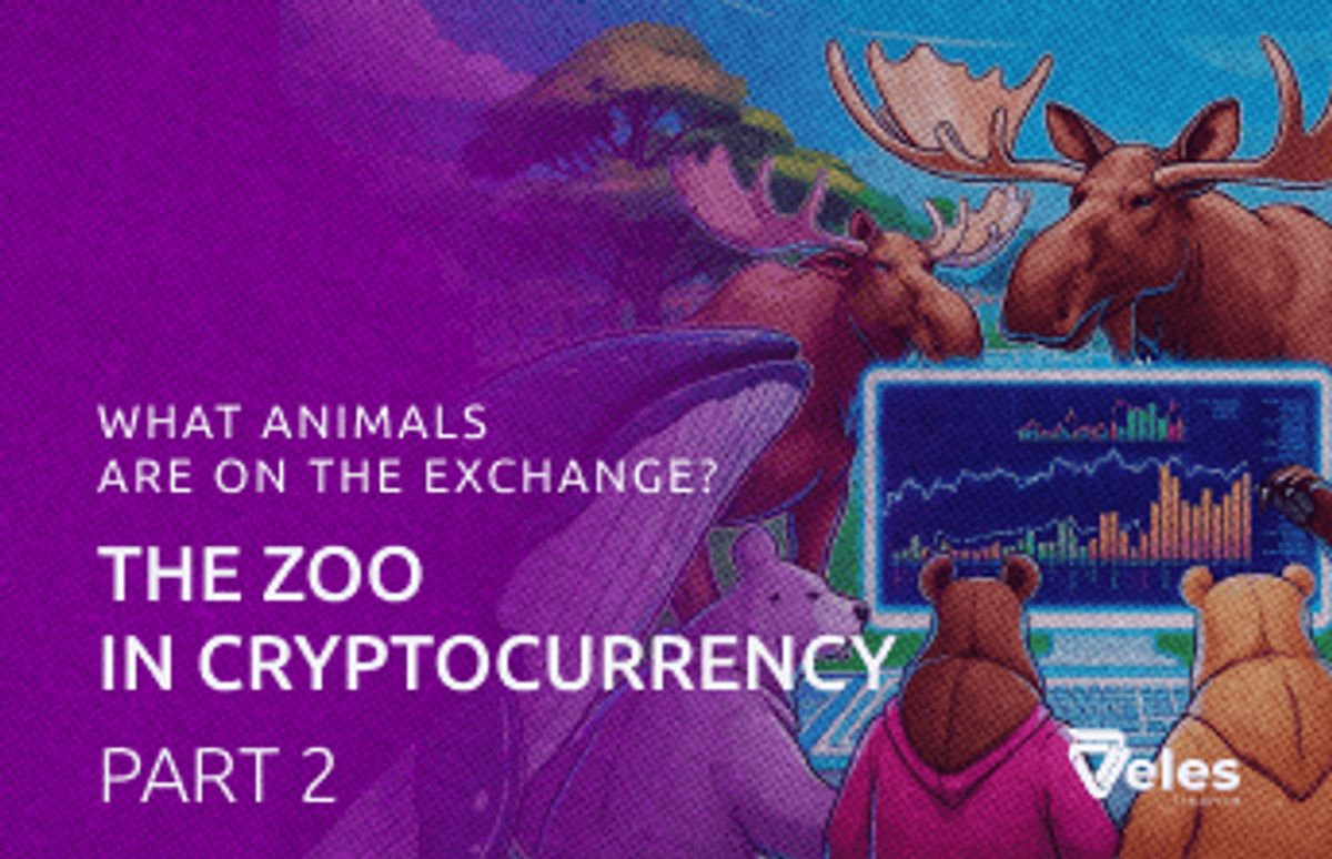 Animals and crypto exchanges